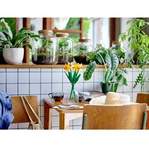 Lego | Toys | New Lego 4646 Daffodils Flowers Nib Sealed Unopened In ...